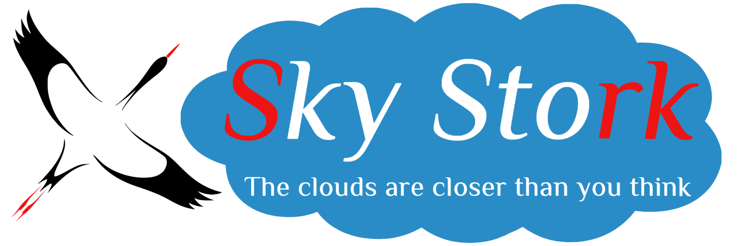 Sky Stork | Effective Solutions in Data Processing